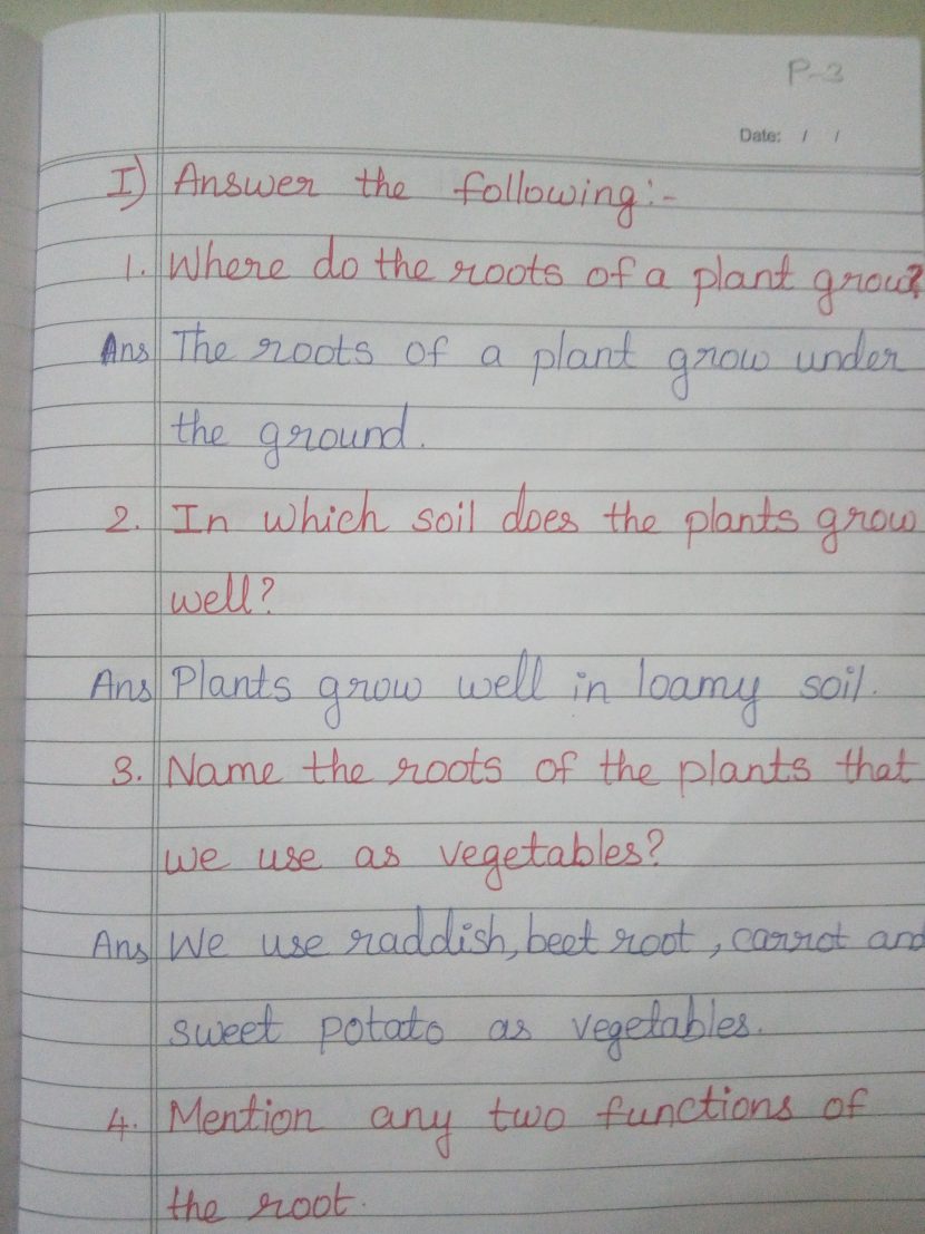 4th standard E.V.S (science) Lesson – 04 Roots- support of the plant ...