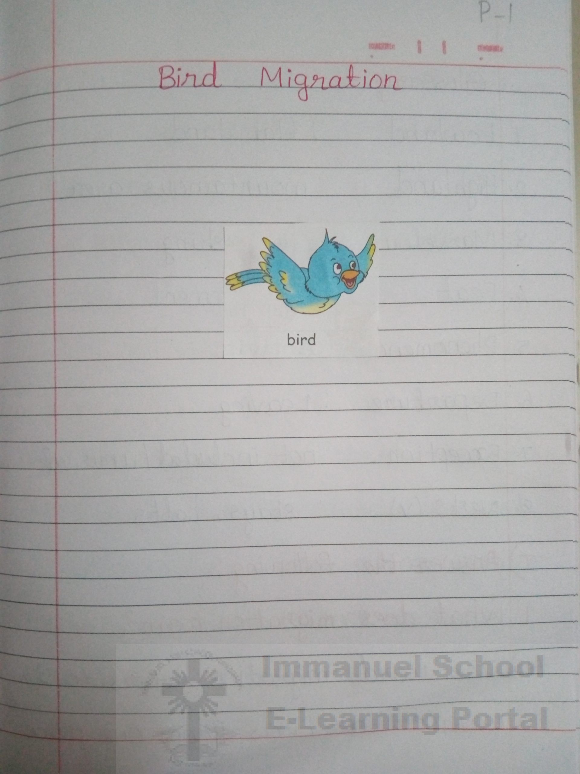 5th standard English Lesson – 04 Bird migration (class work) – IMMANUEL ...
