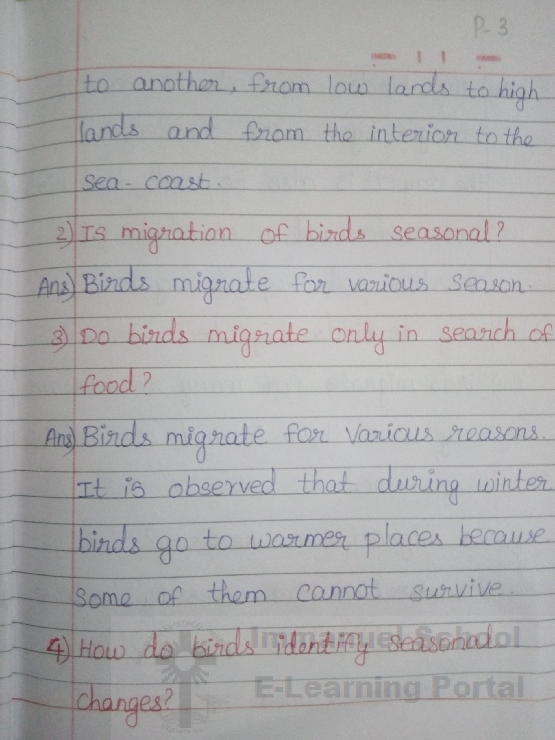 5th standard English Lesson – 04 Bird migration (class work) – IMMANUEL ...