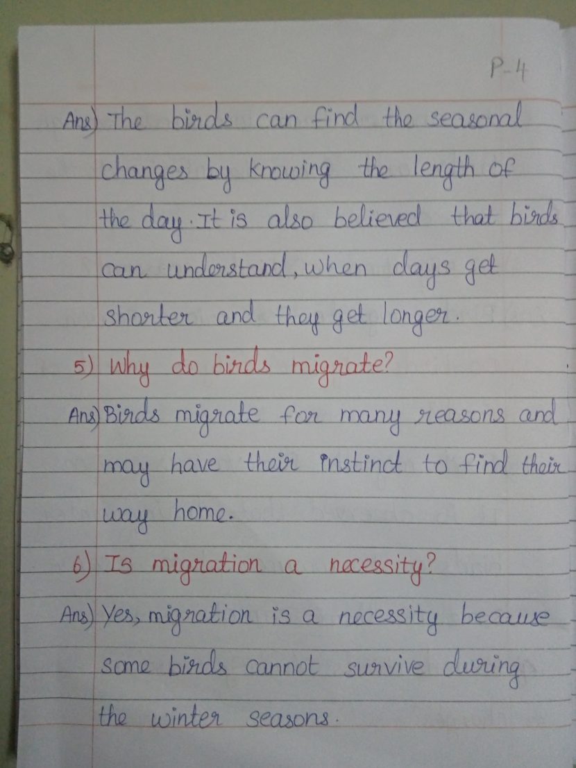 5th standard English Lesson – 04 Bird migration (class work) – IMMANUEL ...