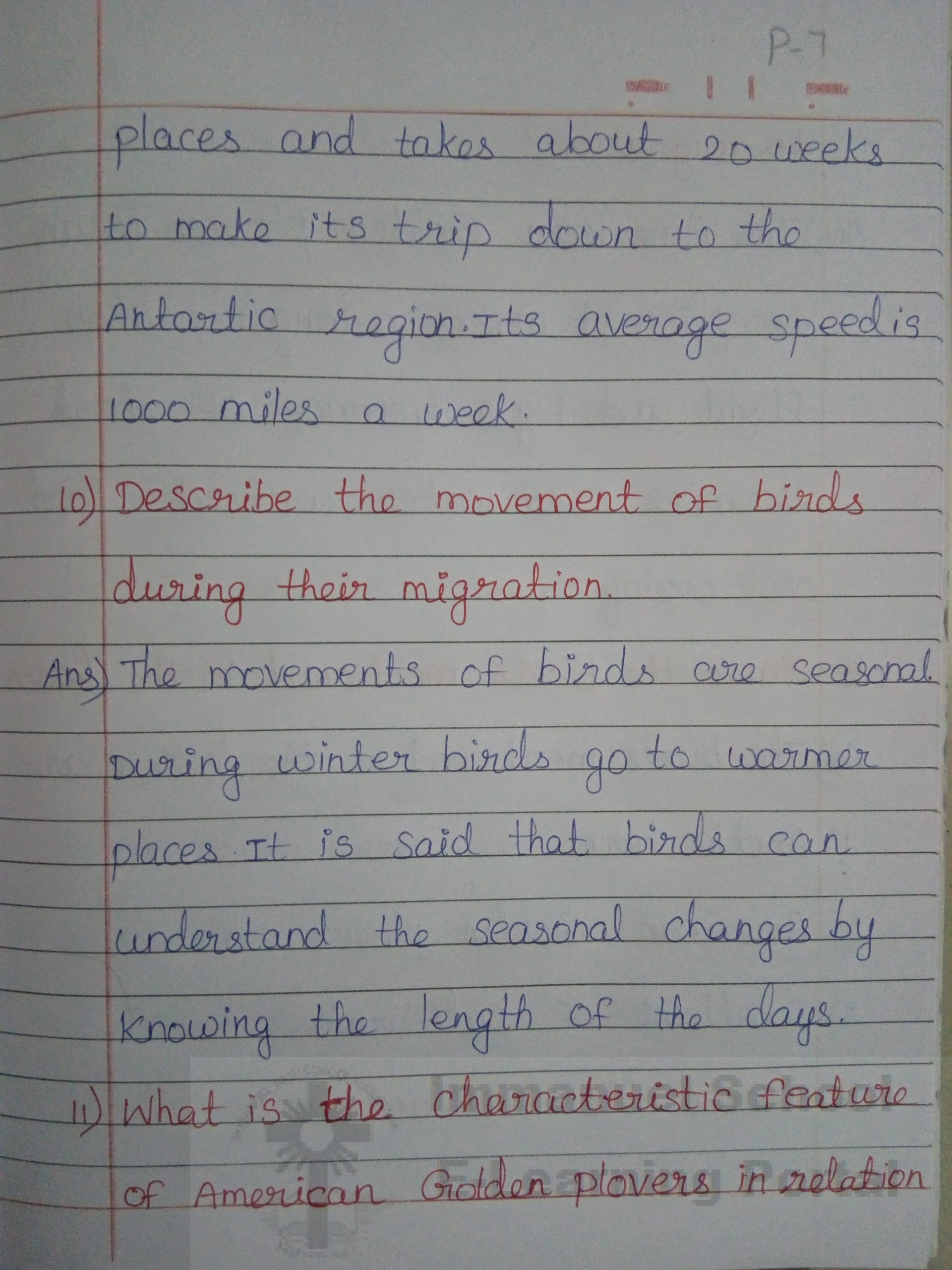 5th standard English Lesson – 04 Bird migration (class work) – IMMANUEL ...